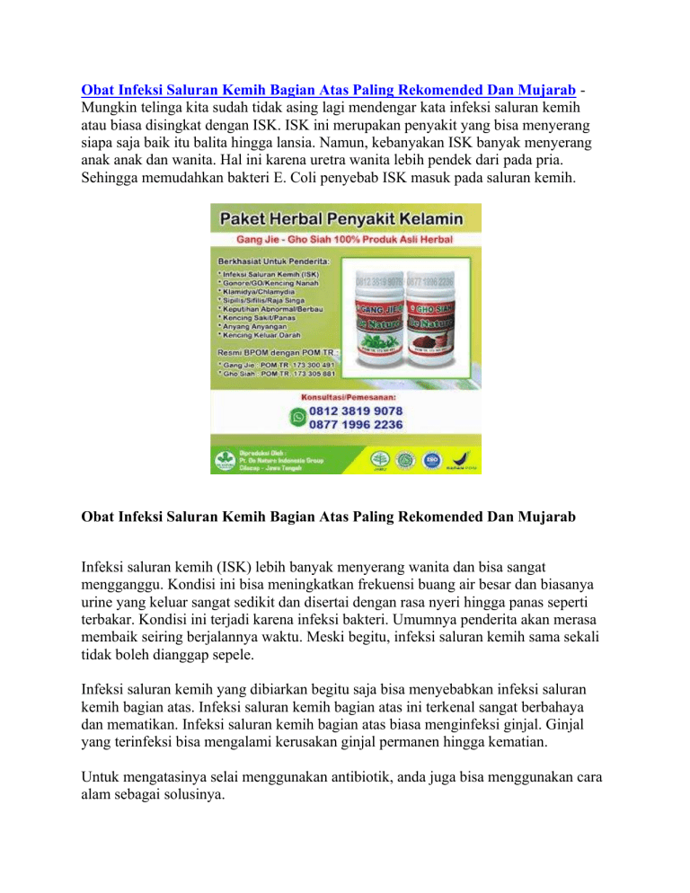 Obat Infeksi Saluran Kemih Bagian Atas Paling Rekomended Dan Mujarab